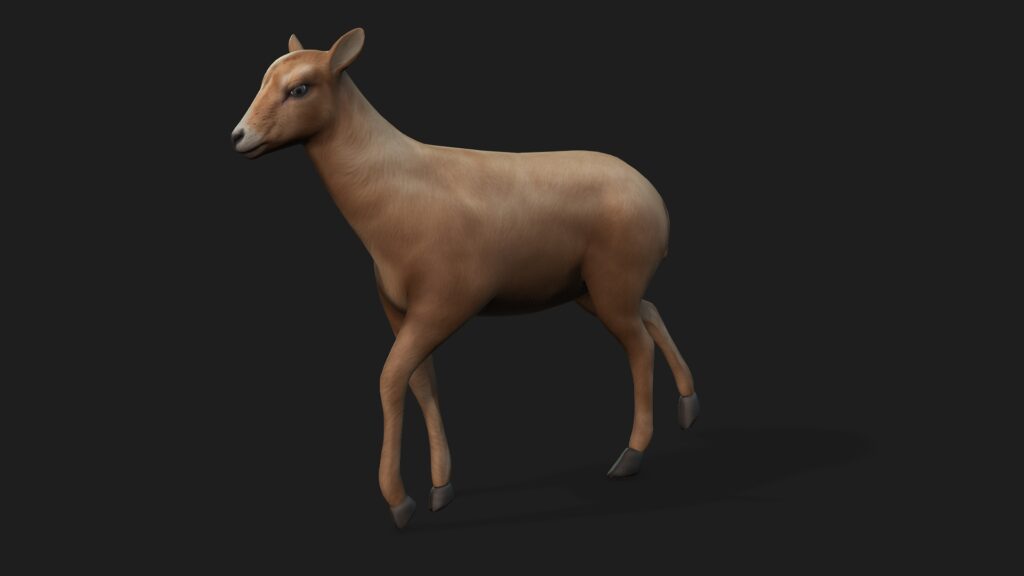 Goat_A1 - ANIMATED