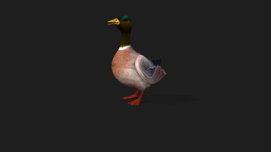 Duck_A3 - ANIMATED