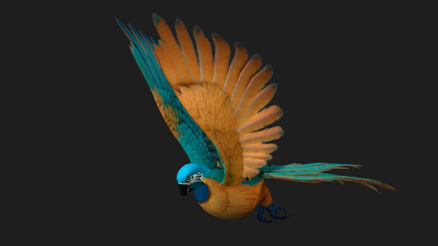Crane Bird_A1 - ANIMATED