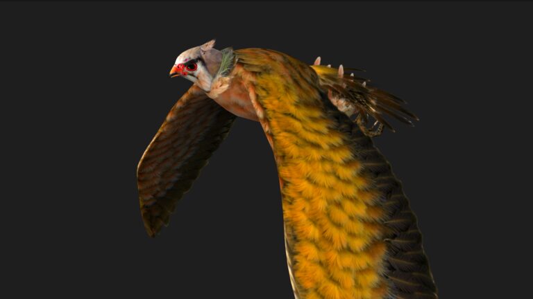 Phoenix-Ver2 - ANIMATED