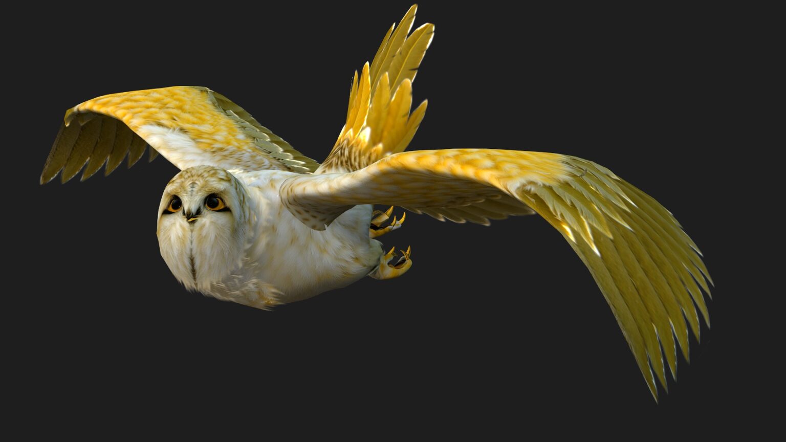 OwlBird_A4 - ANIMATED
