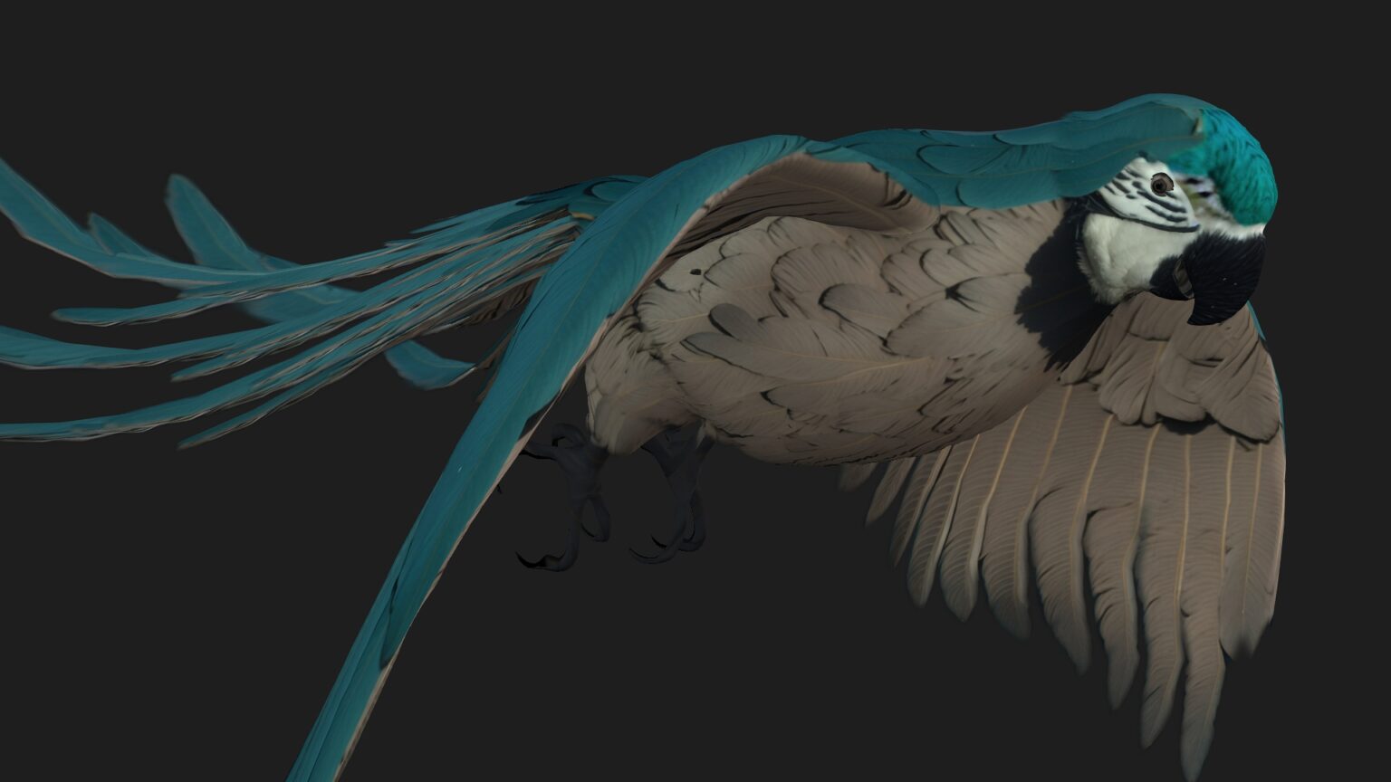 Parrot_A12 - ANIMATED