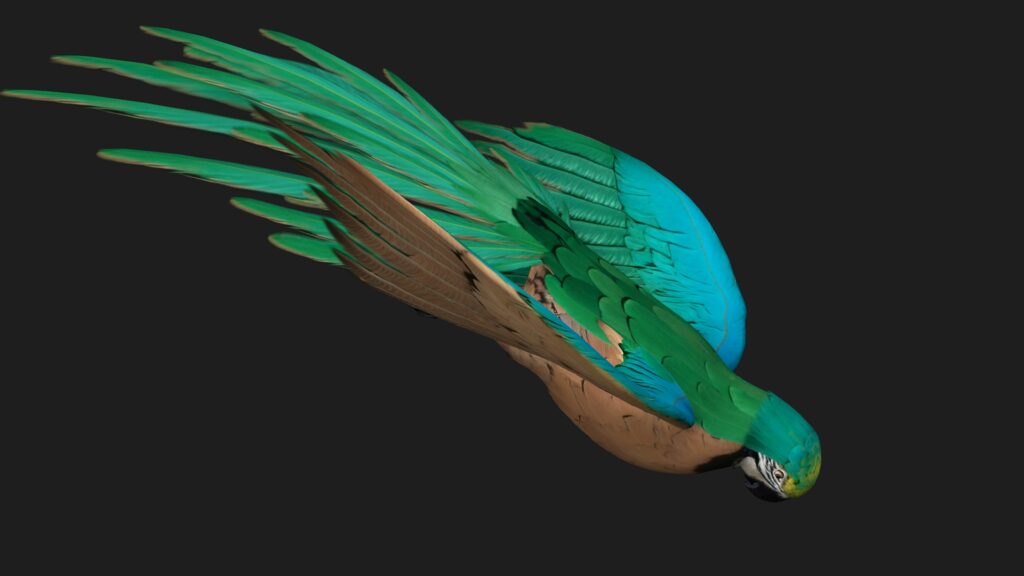 Parrot_A5 - ANIMATED
