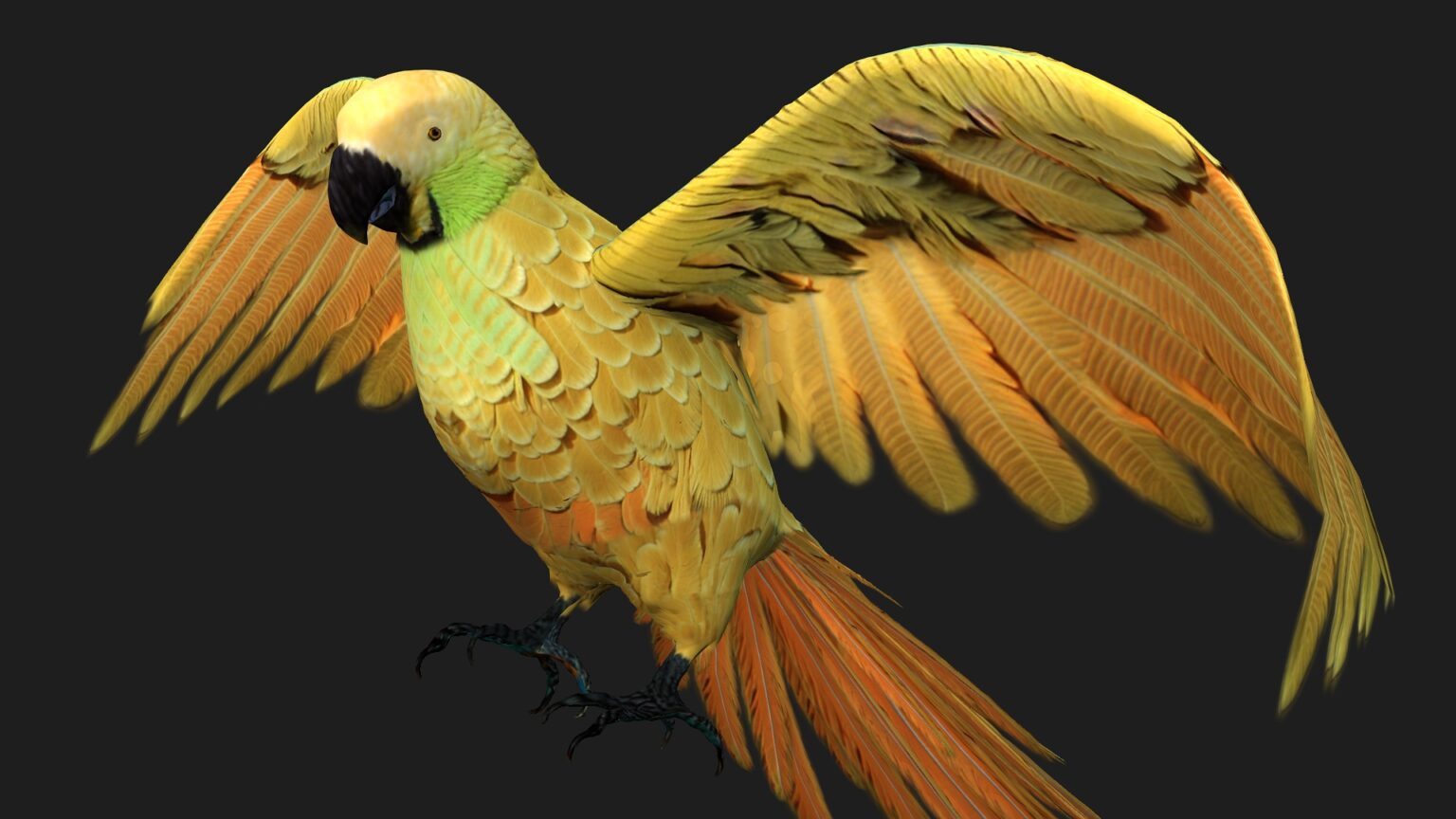 Parrot_A7 - ANIMATED