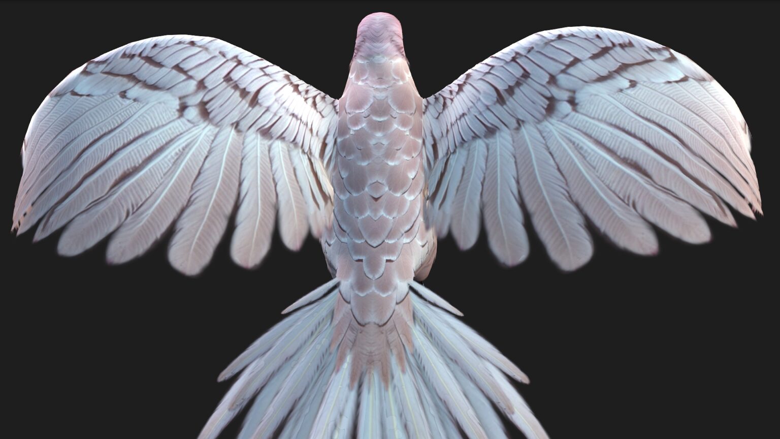 Parrot_A9 - ANIMATED