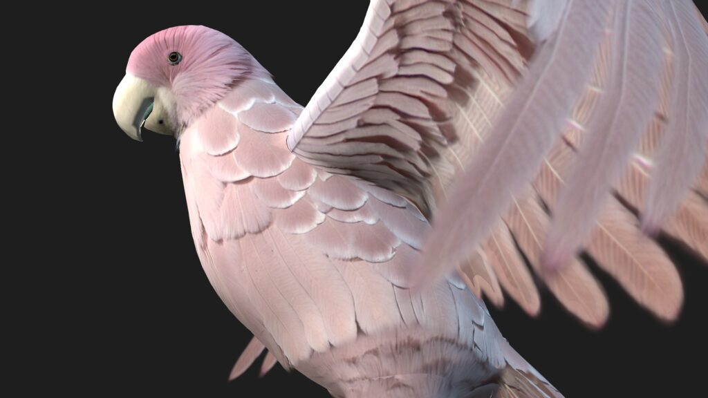 Parrot_A9 - ANIMATED
