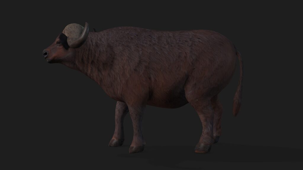 Buffalo_A1 - ANIMATED