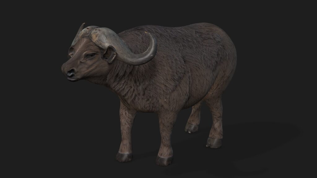 Buffalo_A2 - ANIMATED