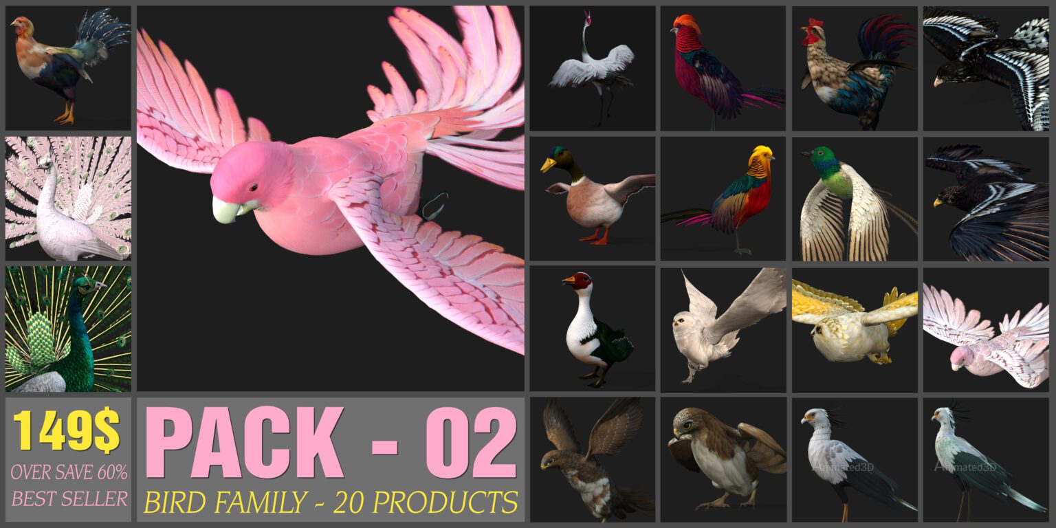 Pack_02 Bird Family - ANIMATED