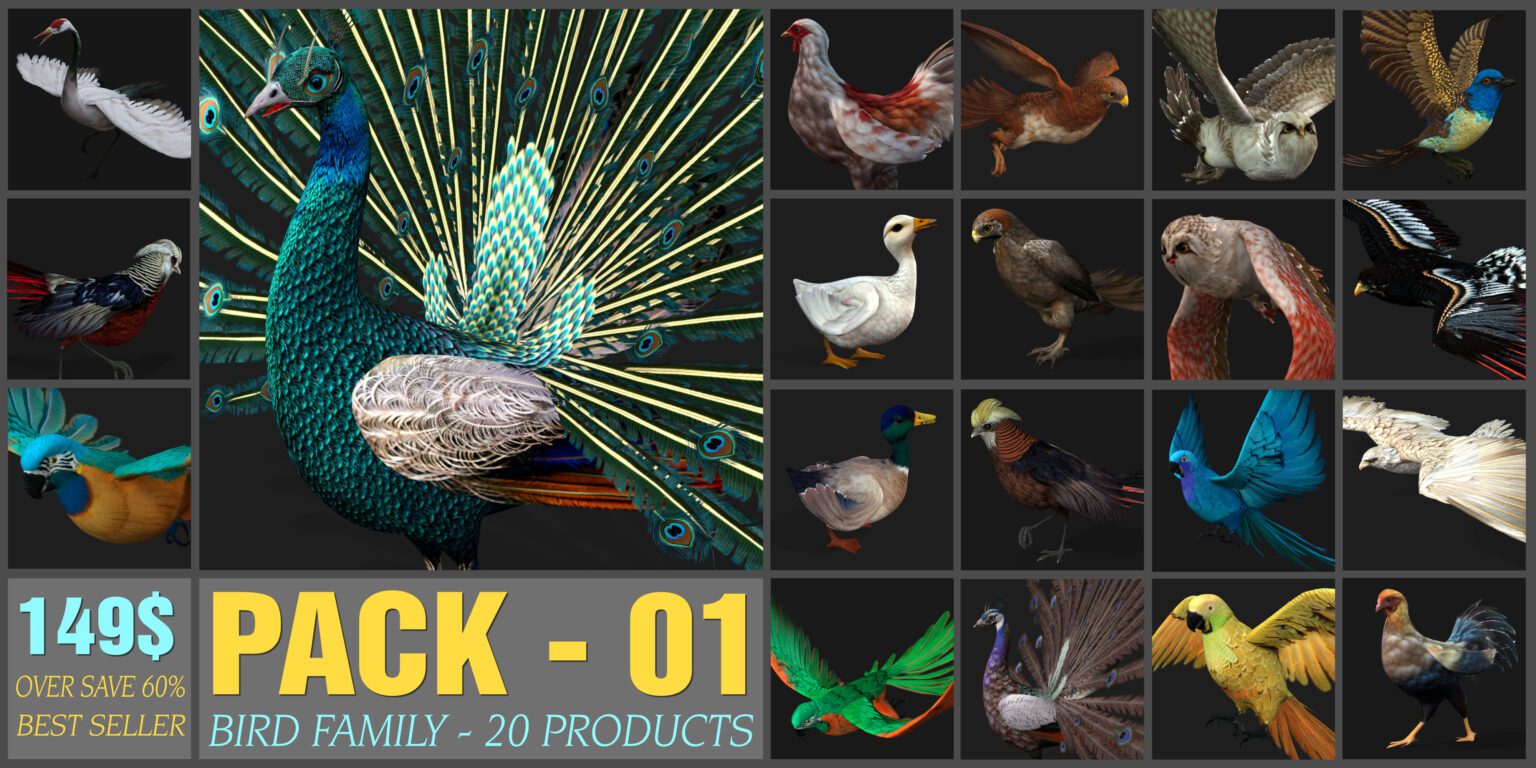Pack_01 Bird Family - ANIMATED