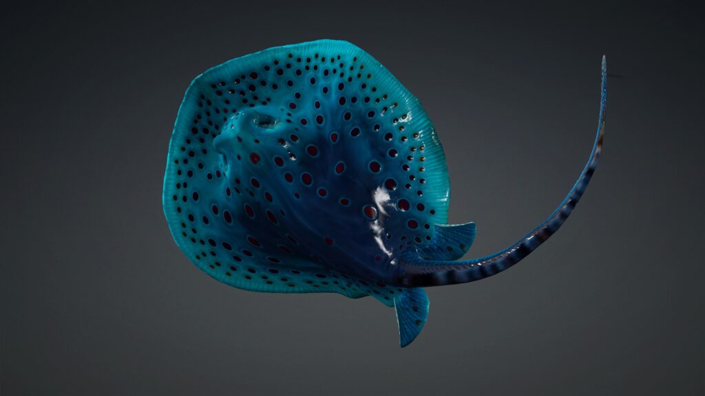 Ray Fish_A1 - ANIMATED