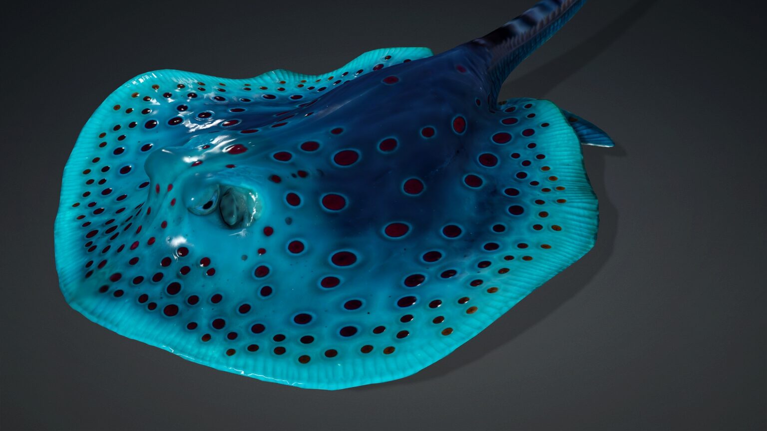 Ray Fish_A1 - ANIMATED