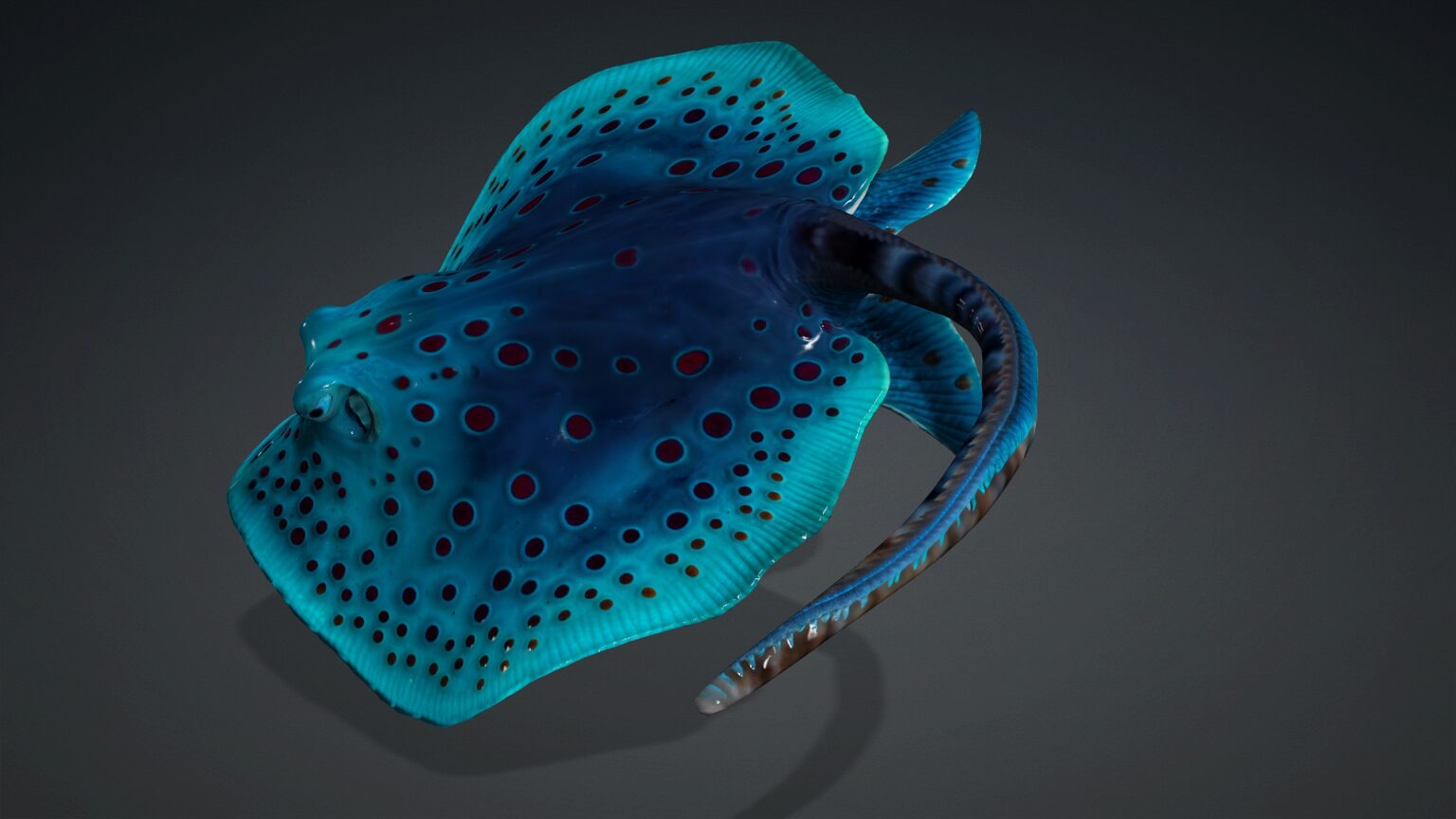 Ray Fish_A1 - ANIMATED