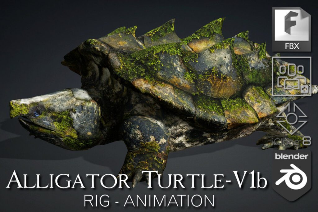Alligator Turtle_V1b - ANIMATED