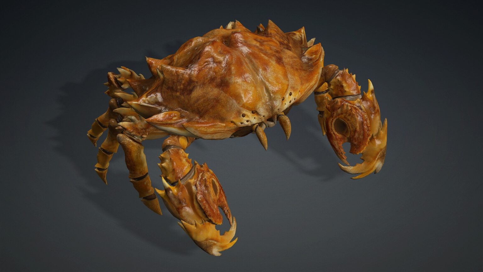 Crab_V1 - ANIMATED