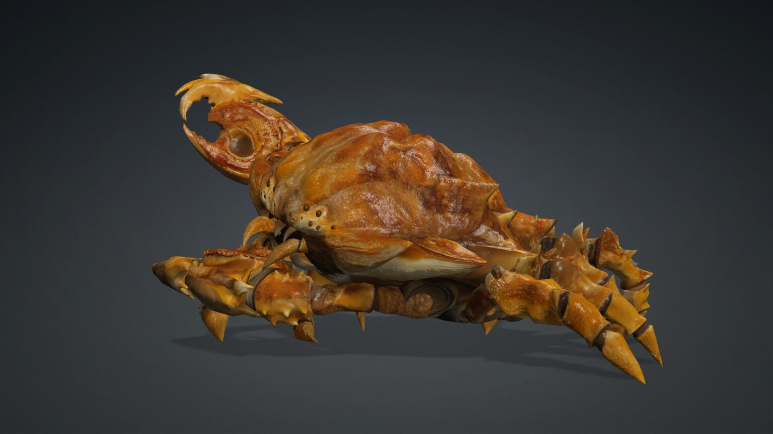 Crab_V1 - ANIMATED