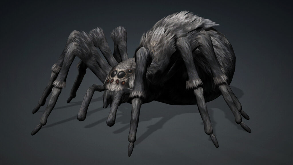 Spider_B2 - ANIMATED