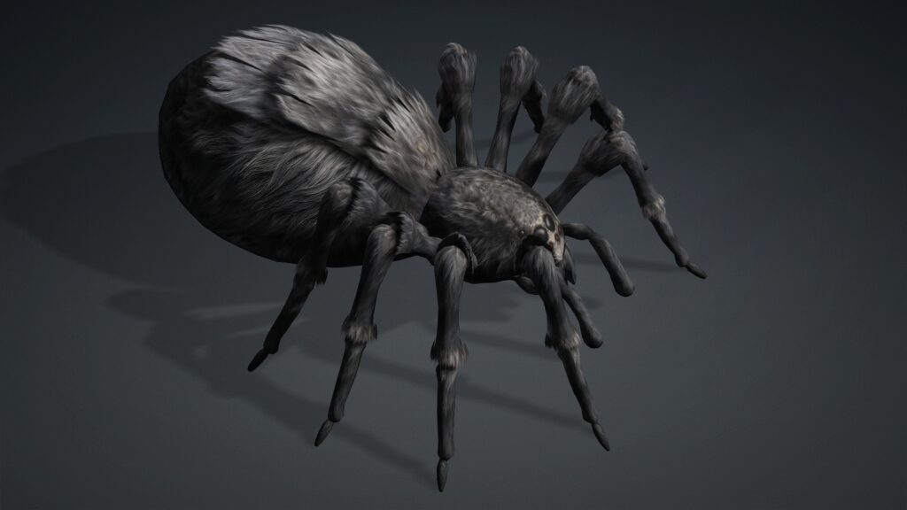 Spider_B2 - ANIMATED
